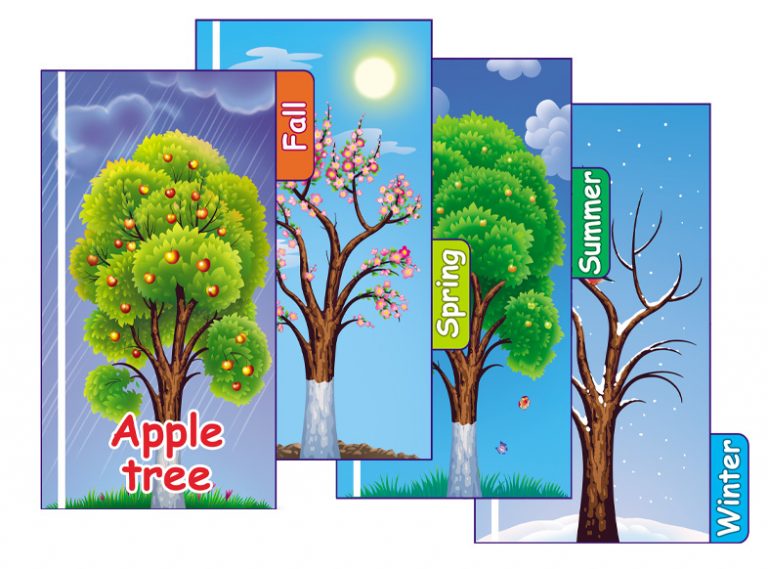 Apple Lapbook. Apple Science Interactive Activities | BuyLapbook