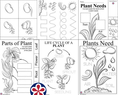 Plants. Science Lapbook | BuyLapbook