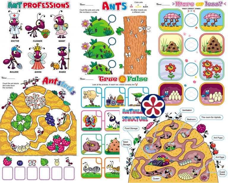 Ant Themed Printables | BuyLapbook