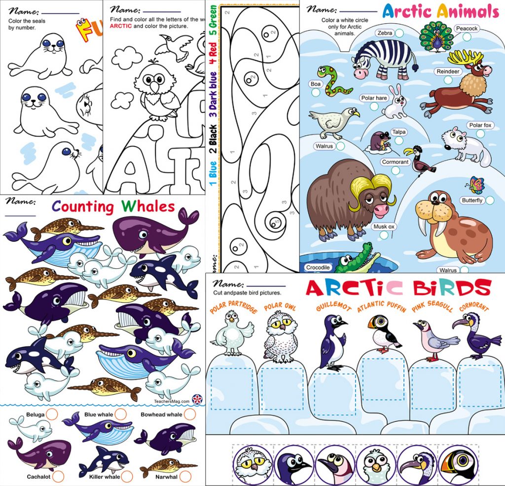 Arctic and Antarctic Animals Worksheets | BuyLapbook