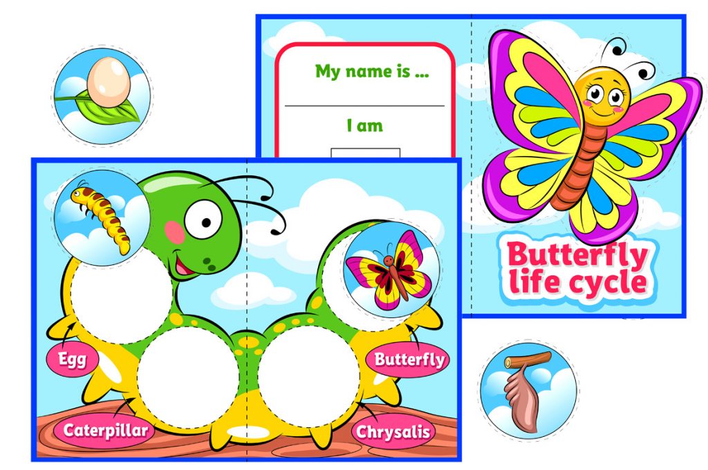 Caterpillar & Butterfly Activities for Preschoolers | BuyLapbook