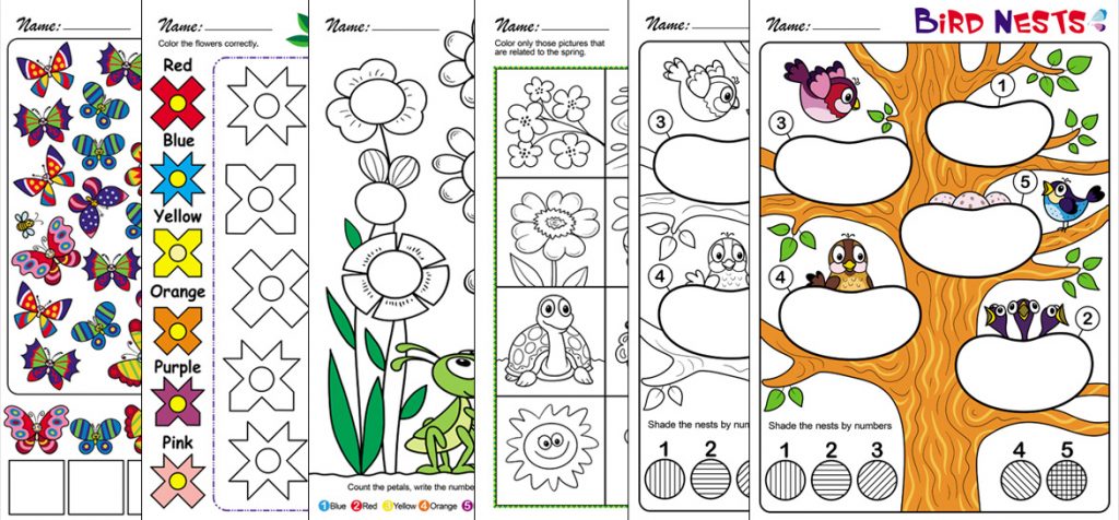 Spring Insects Worksheets and Activities | BuyLapbook