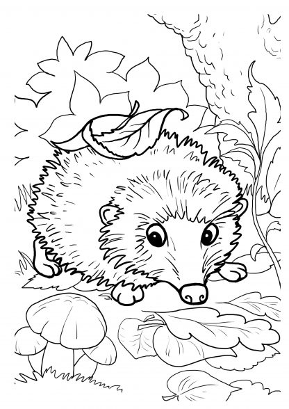 Hedgehogs. Free Printable, Coloring and Activity Page for Kids | BuyLapbook