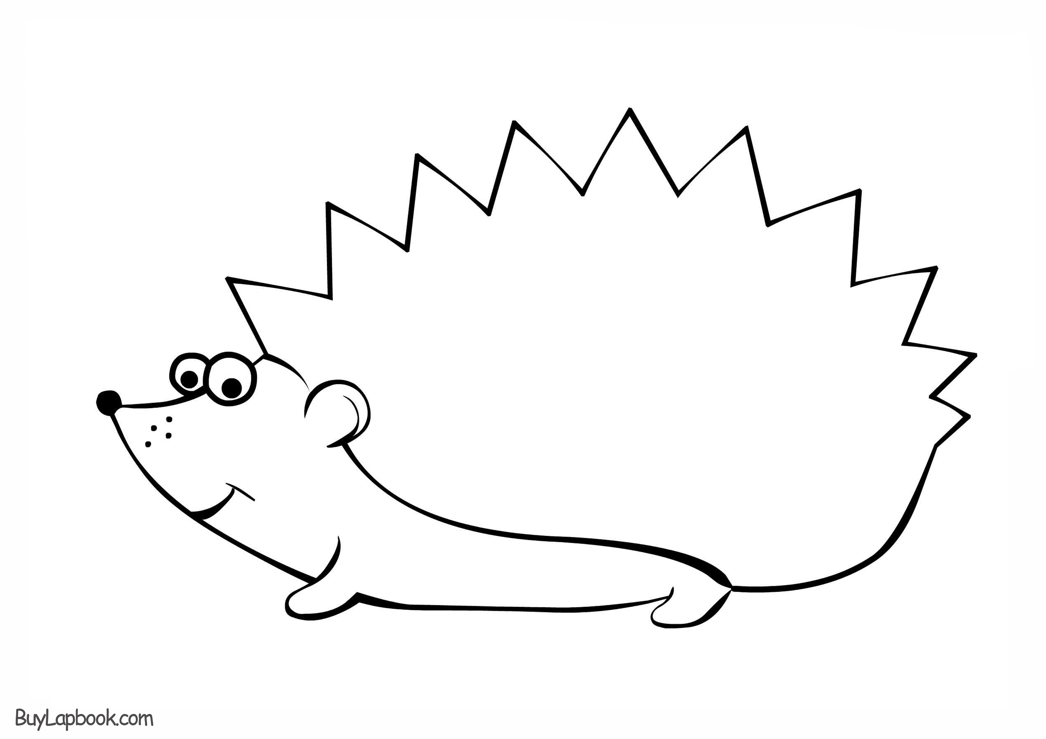 Printable Outline Hedgehog Template Printable World Holiday