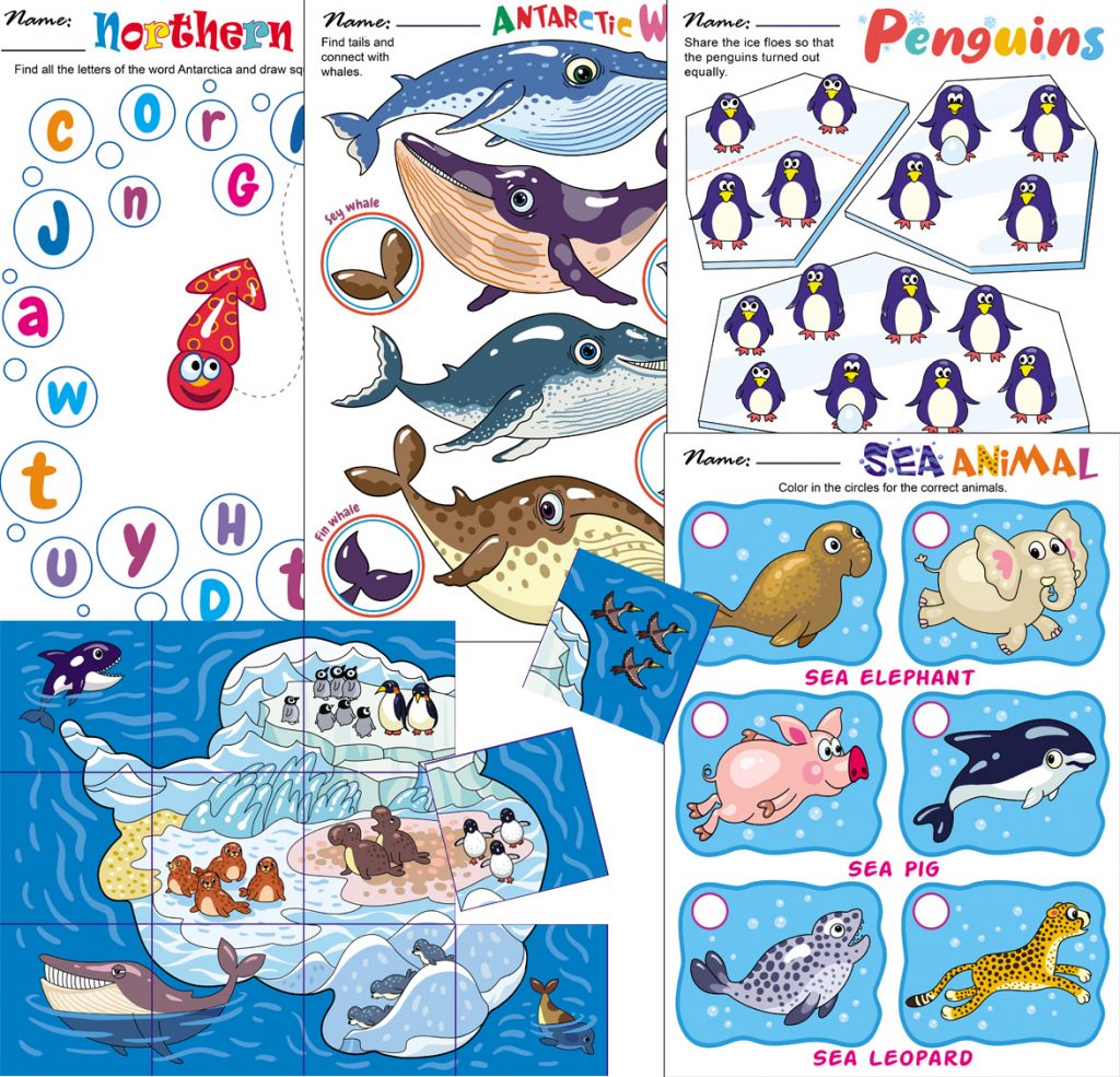 Arctic and Antarctic Animals Worksheets | BuyLapbook